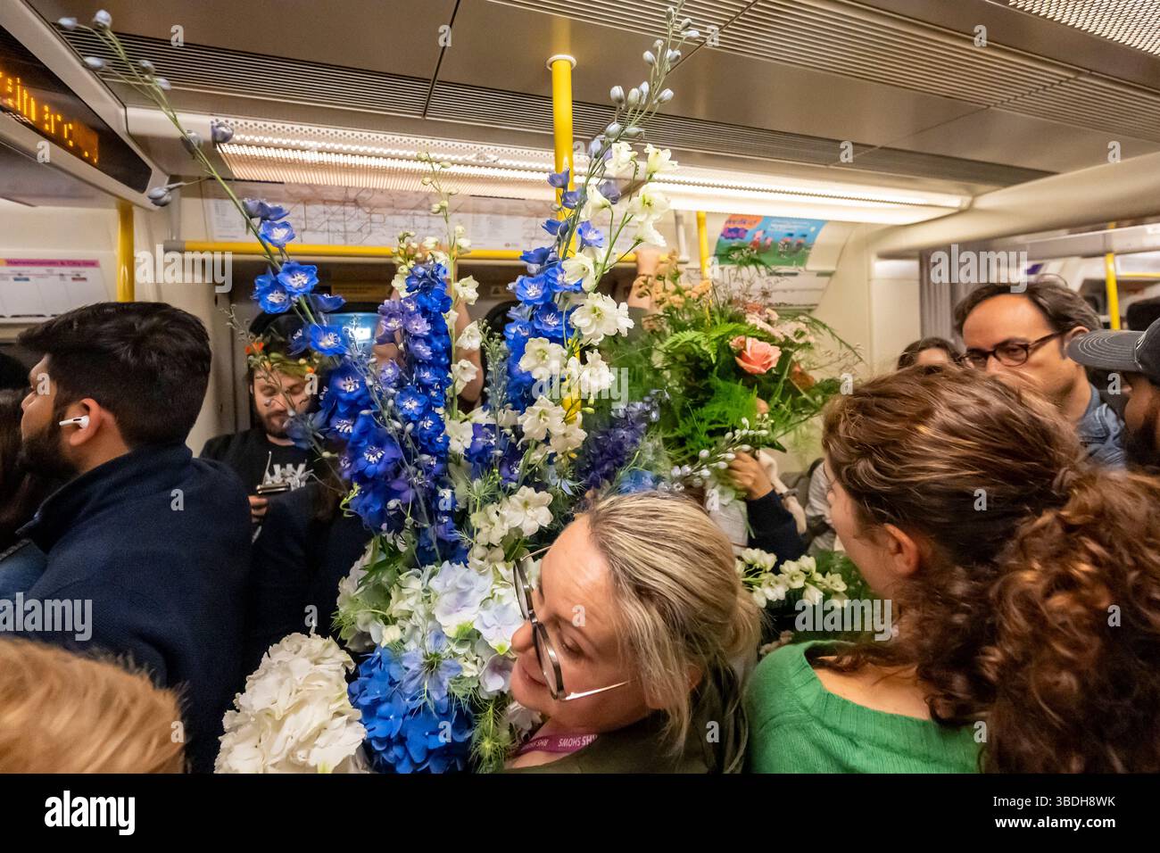 London, UK. 24 May 2025. A member of the public rides the District line ...