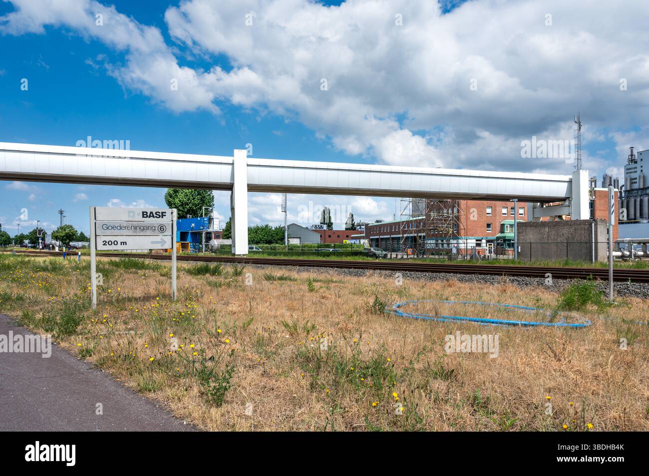 The BASF chemistry industry company site at Westkaai at the Antwerp ...