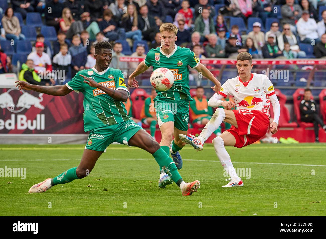 Salzburg, Österreich 24. Mai 2025: Admiral Bundesliga - 2024/2025 - Sp ...