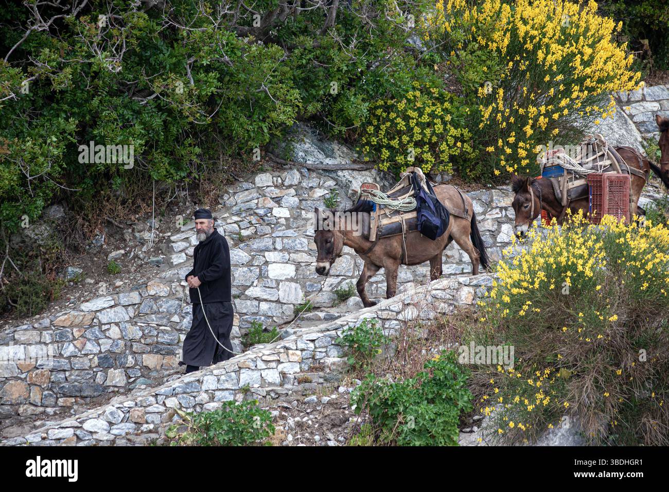 Orthodox monk animal hi-res stock photography and images - Alamy