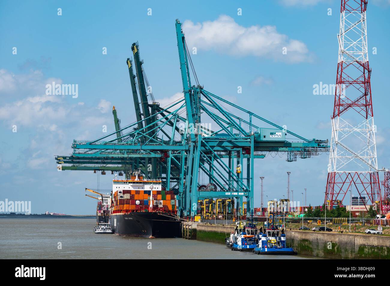 The Toronto express container ship being loaded at the docsk at Antwerp ...
