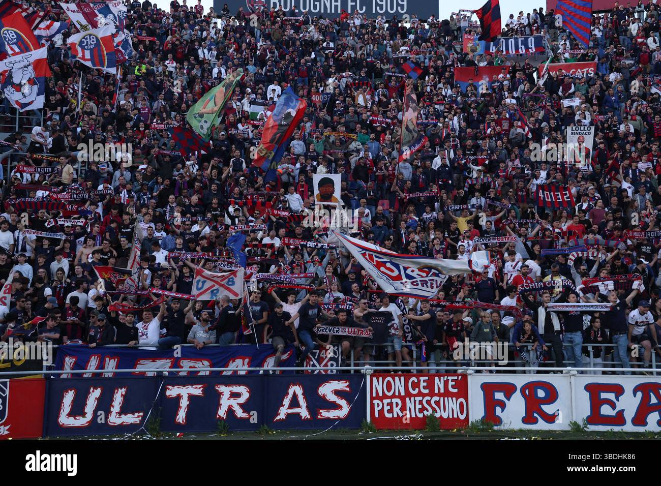 Bologna, Italia. 24th May, 2025. the bologna team celebrates with the ...
