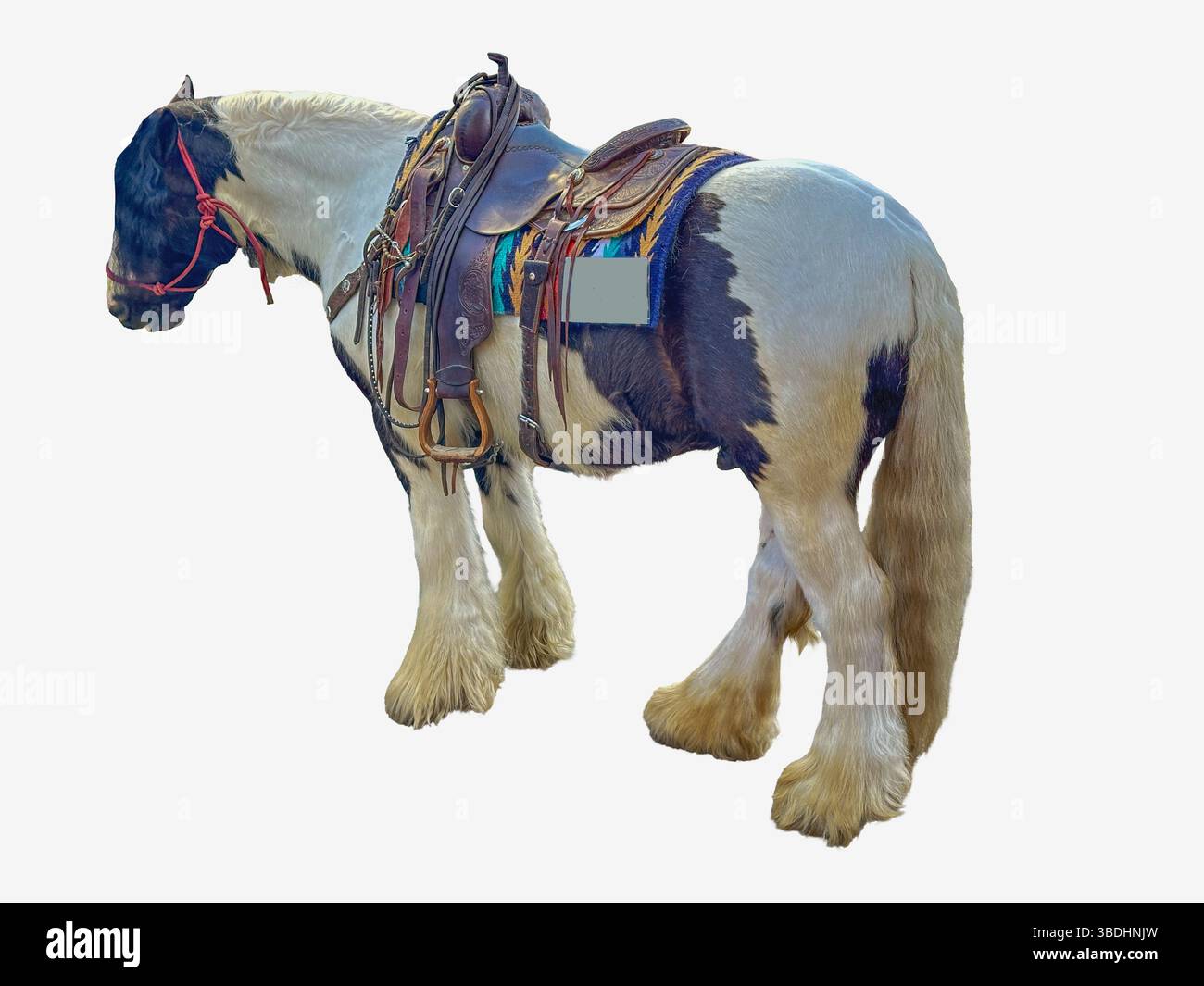 Horse rider in western Cut Out Stock Images & Pictures - Alamy