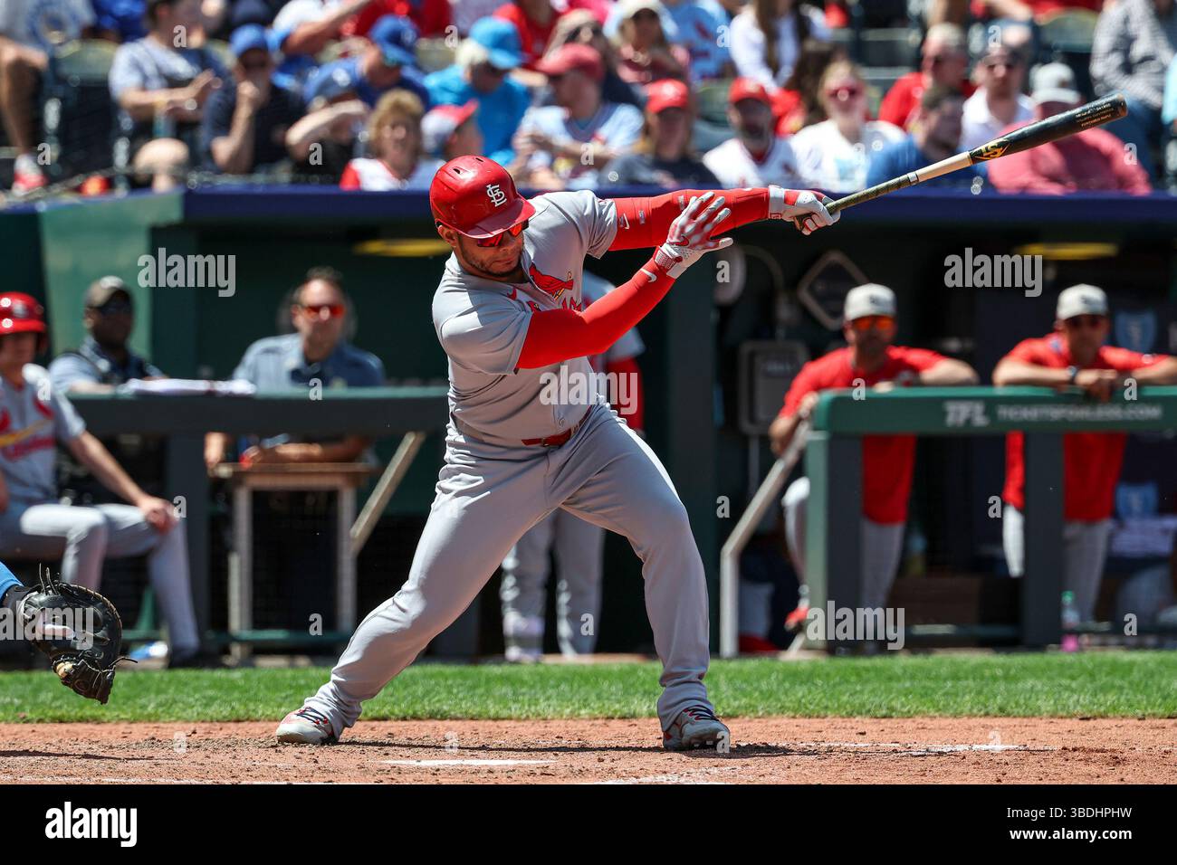 May 18, 2025: St. Louis Cardinals first baseman Willson Contreras (40 ...