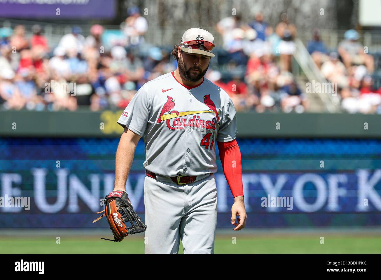 May 18, 2025: St. Louis Cardinals left fielder Alec Burleson (41) is ...