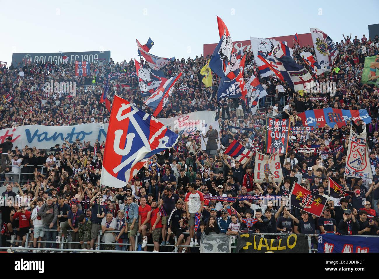 Bologna, Italia. 24th May, 2025. the bologna team celebrates with the ...