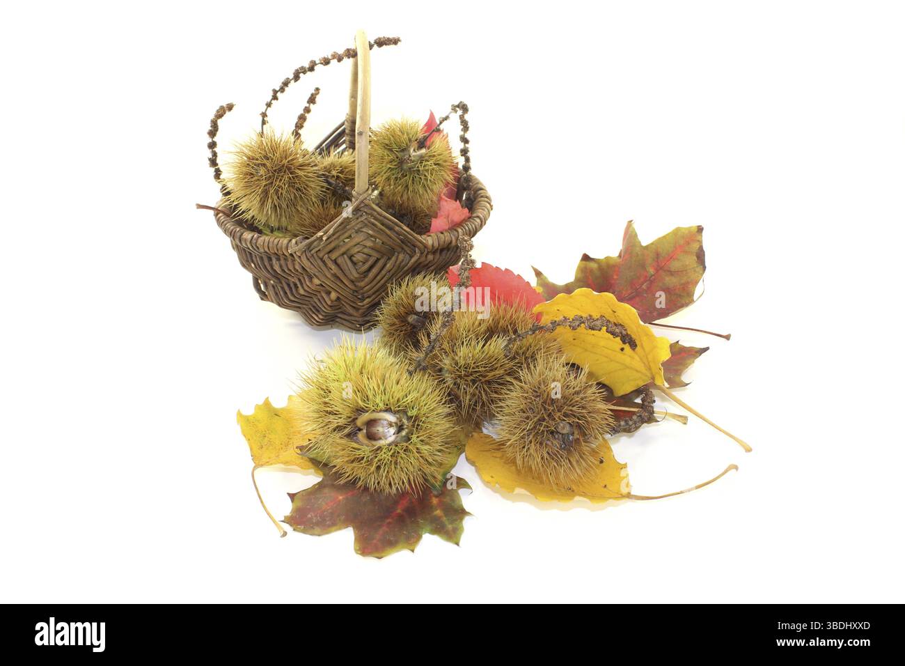 Atmospheric mood of light Cut Out Stock Images & Pictures - Alamy