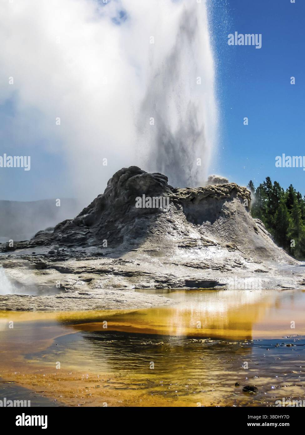 Castle Geyser erupts with hot water and steam with pools of ...
