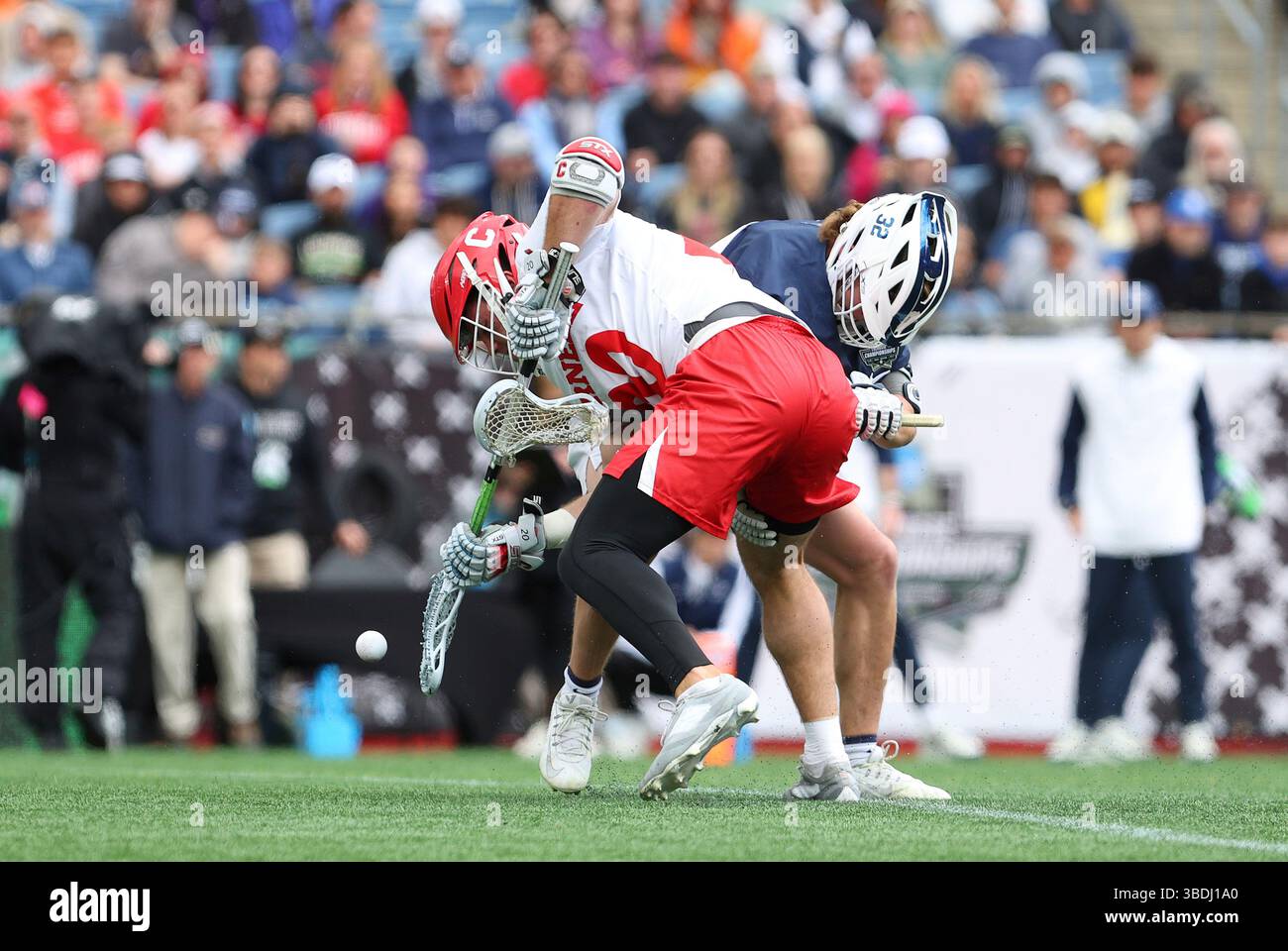 FOXBOROUGH, MA - MAY 24: Jack Cascadden (20) of Cornell Big Red and ...