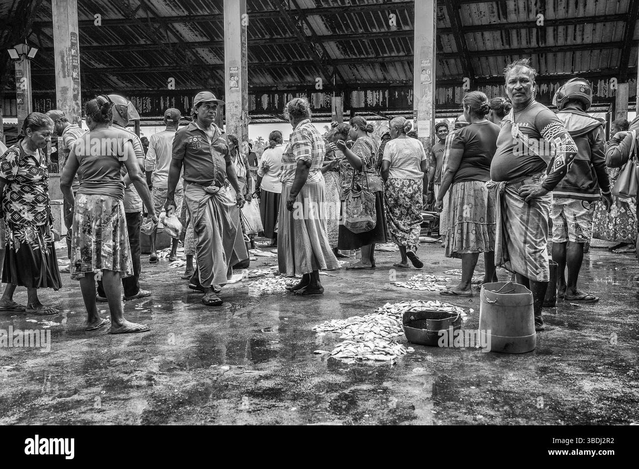 Fish market of Chilaw in Sri Lanka, Asia Stock Photo - Alamy