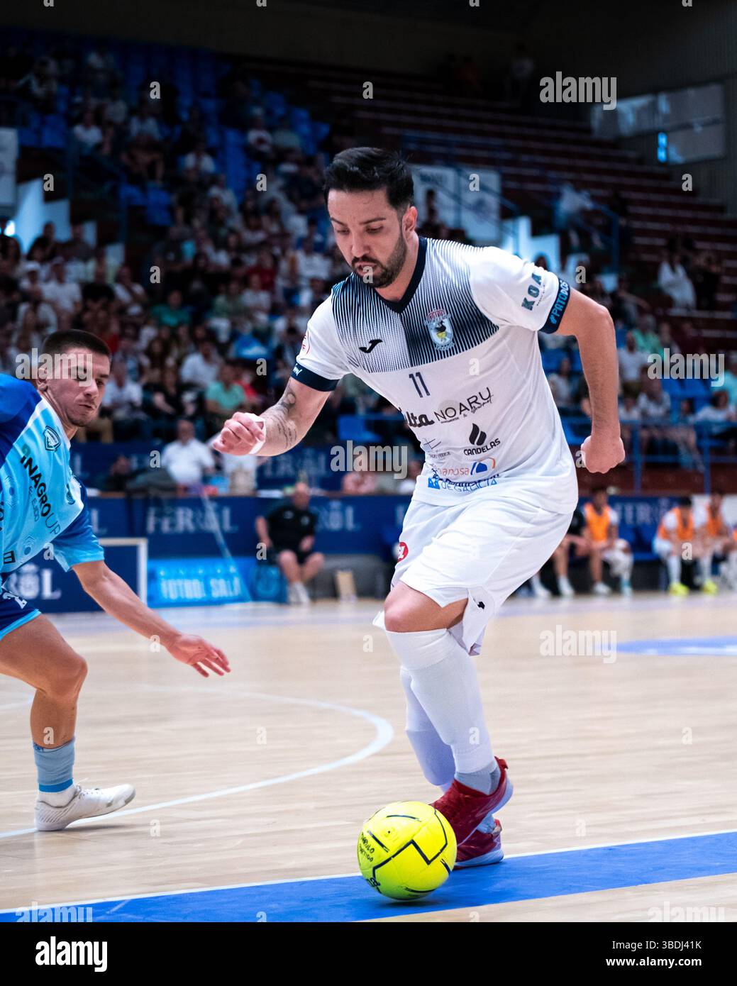 Ferrol, Spain. 24 May, 2025. Liga Nacional Futbol Sala. Play Off. O ...