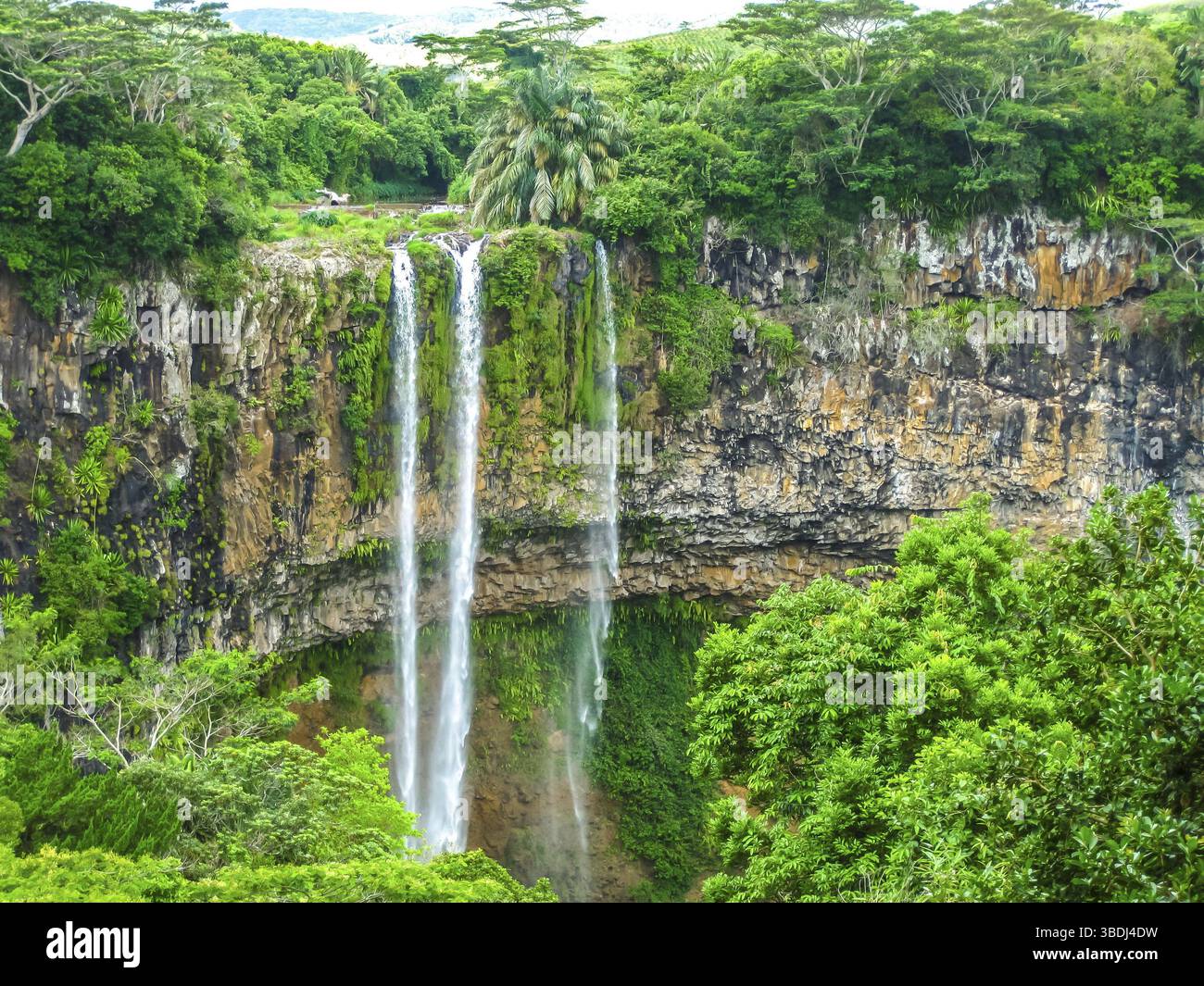 The Chamarel falls, 100 meters high, the most famous waterfalls in Mauritius at a short distance ...