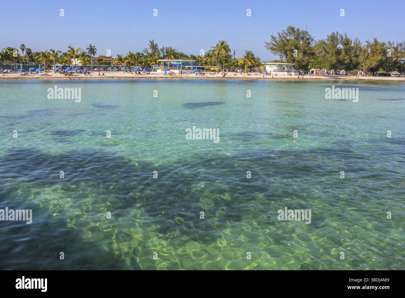 Tropical sea of Higgs Beach, a popular Key West beach in Florida known ...