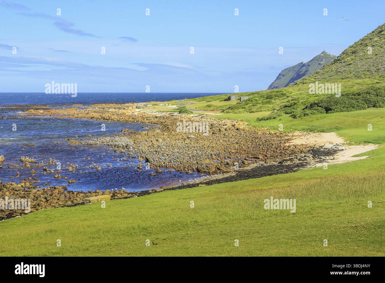 The east coast in Cape of Good Hope Nature Reserve, False Bay, Cape ...