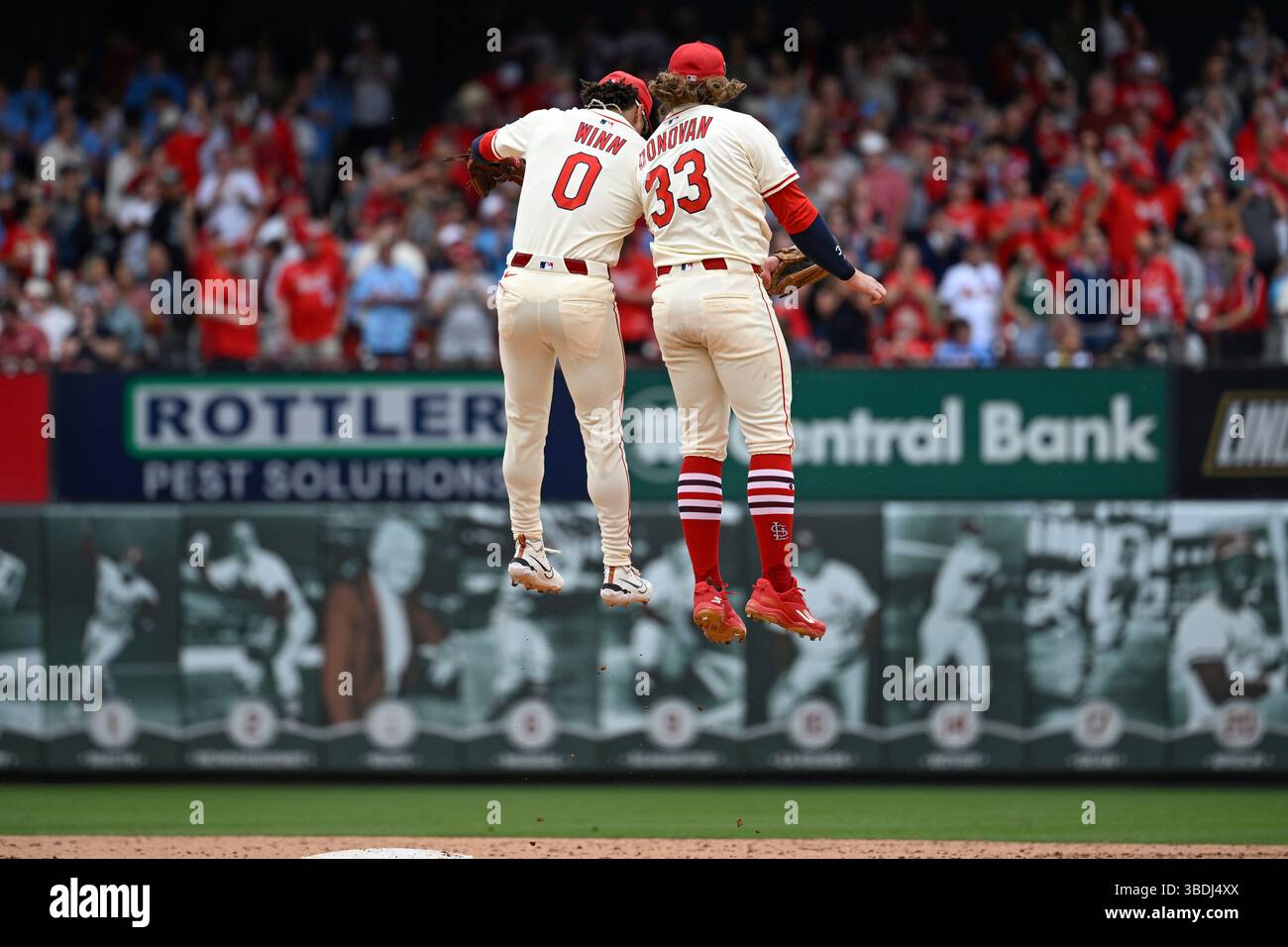 St. Louis Cardinals shortstop Masyn Winn (0), left, celebrates with ...