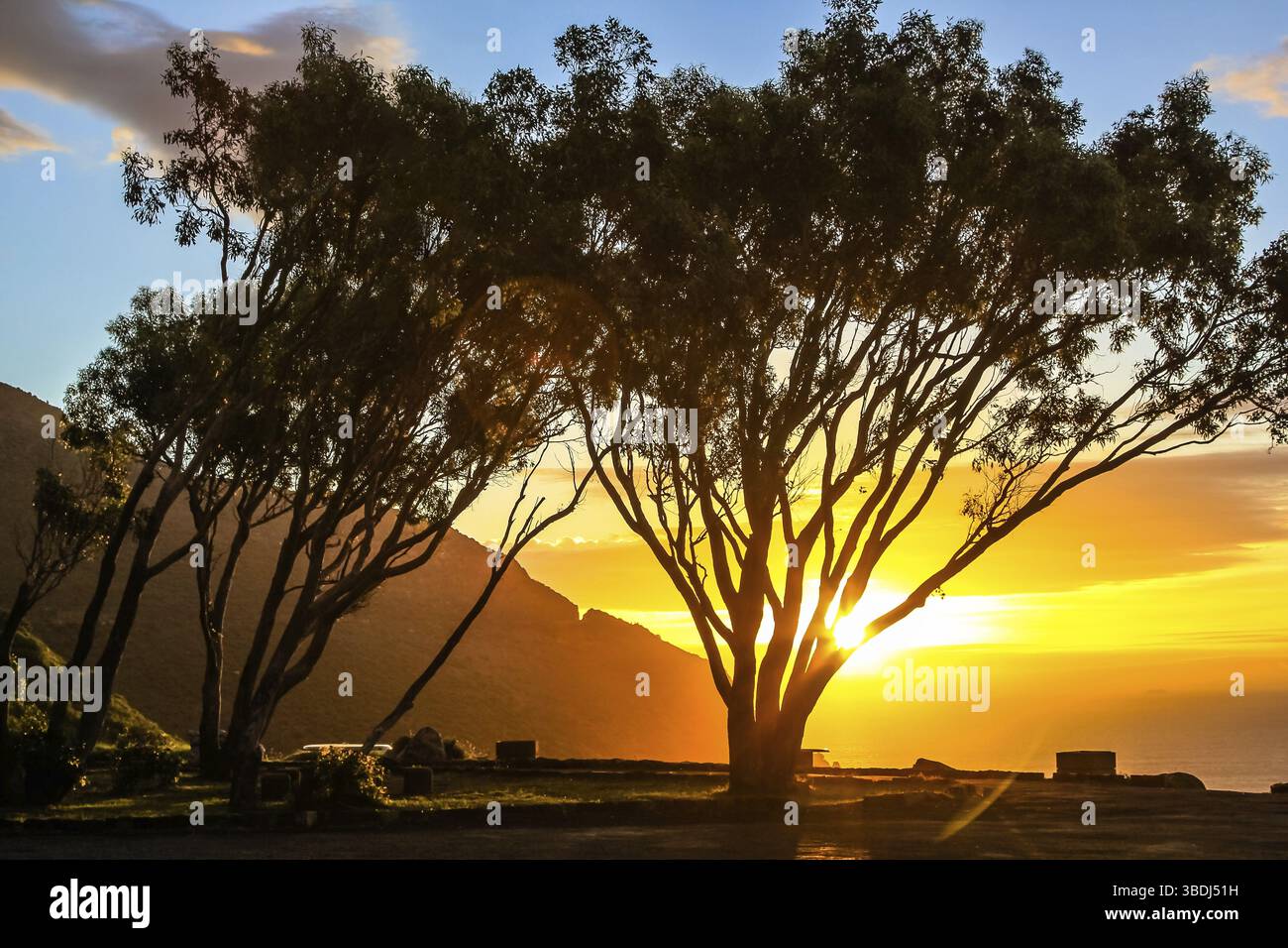 Scenic landscape with african trees at sunset in the Lookout Point rest ...
