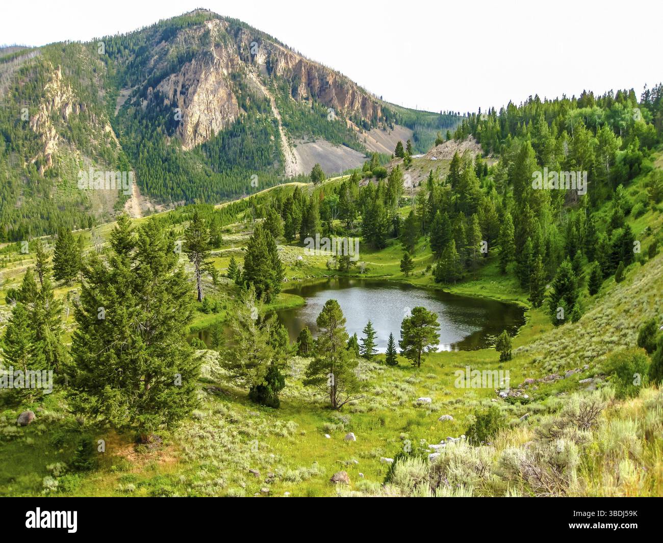 Aerial view of the spectacular landscape of Yellowstone National Park ...