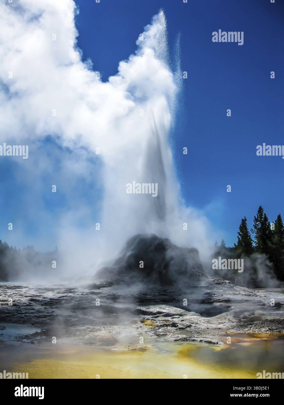 Castle Geyser erupts with hot water and steam with pools of ...