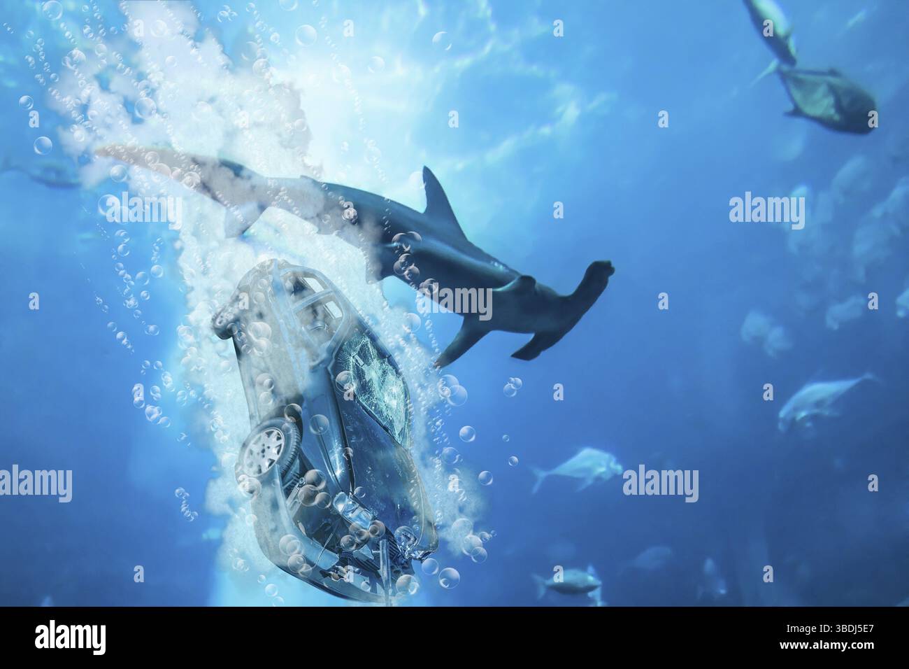 Losing control of car and falling in the sea between fish and sharks ...