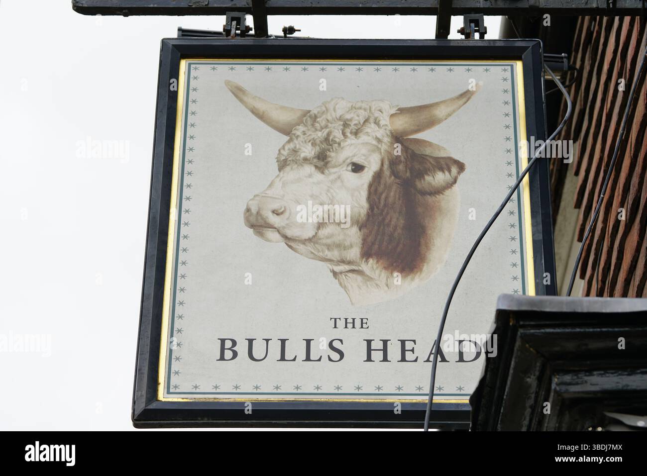 Vintage Style Bull's Head Pub Sign in Urban Setting. Dorking, UK Stock ...