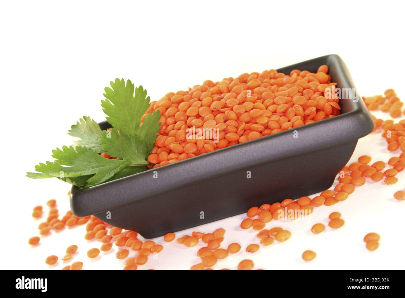 Dried red lentils with coriander on a white background Stock Photo - Alamy