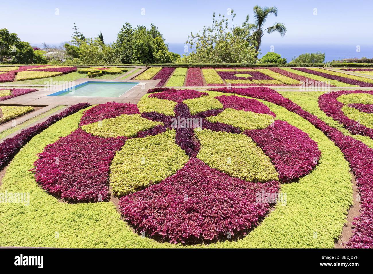 Beautiful colorful patterns and shapes of plants in portuguese ...