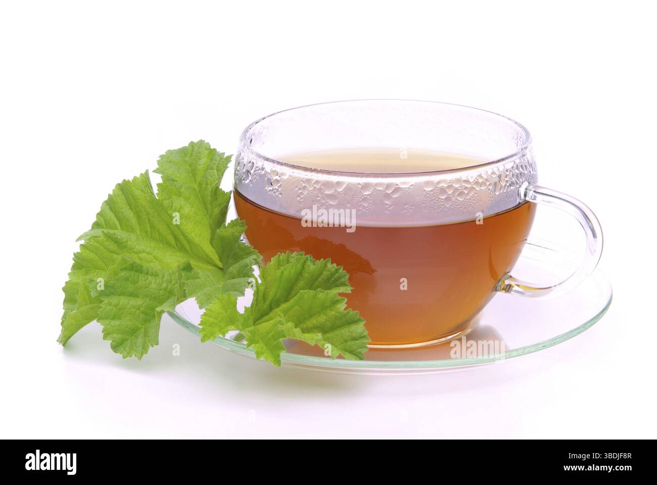 Nature tea Cut Out Stock Images & Pictures - Alamy