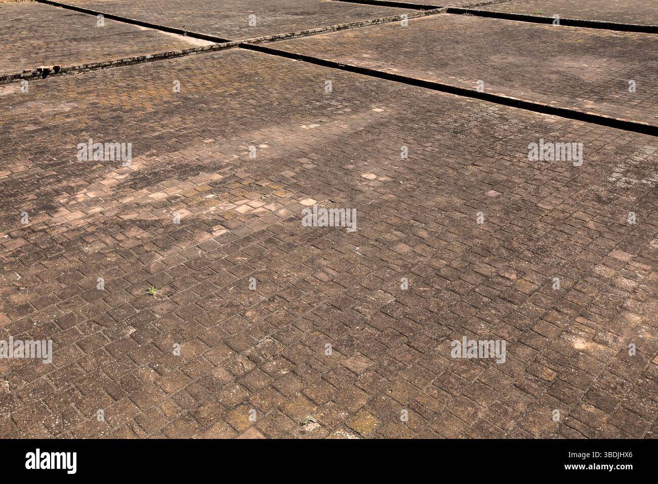 Clay floor tile typical of coffee drying patio of old Brazilian farms ...