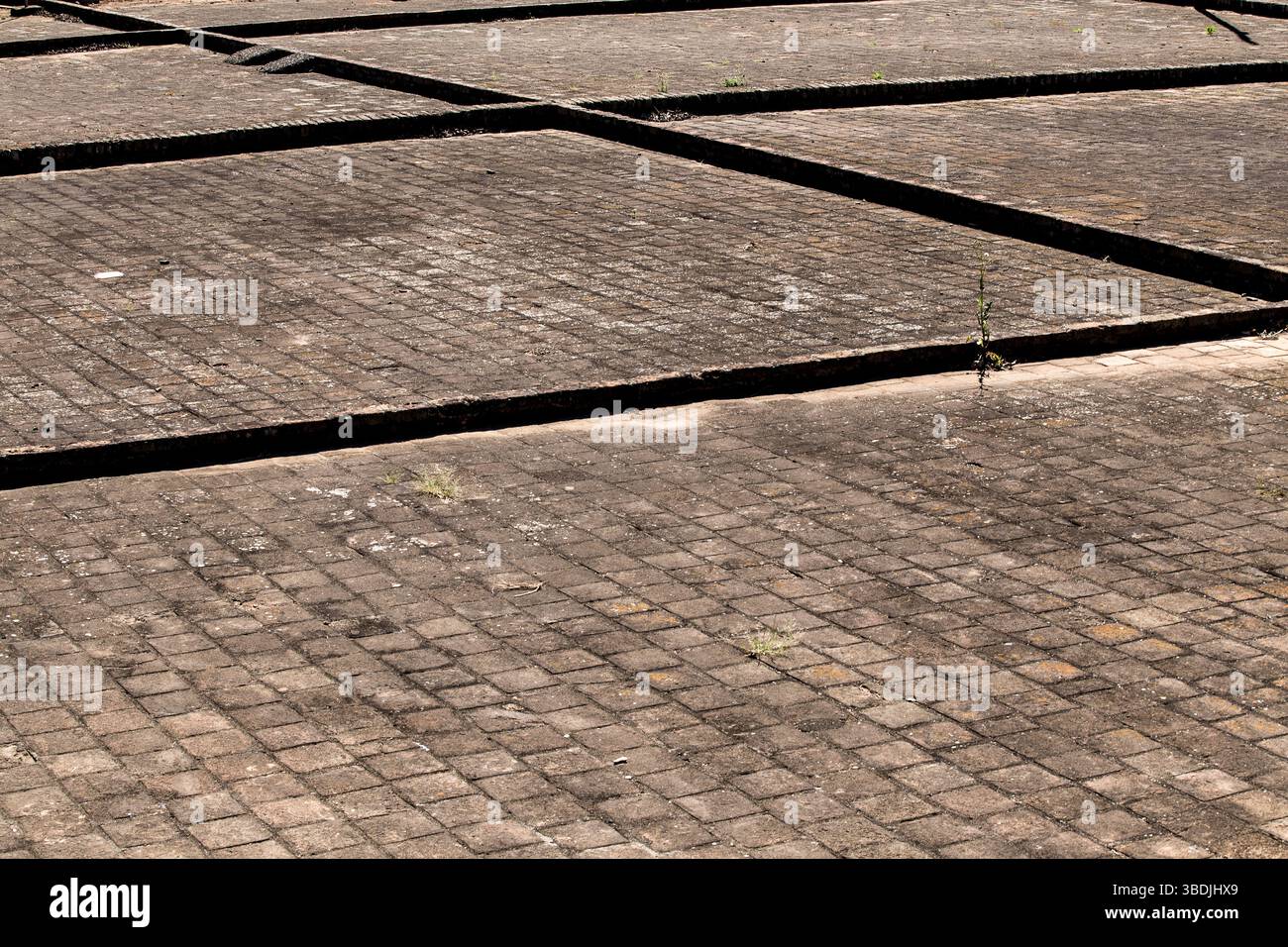 Clay floor tile typical of coffee drying patio of old Brazilian farms ...