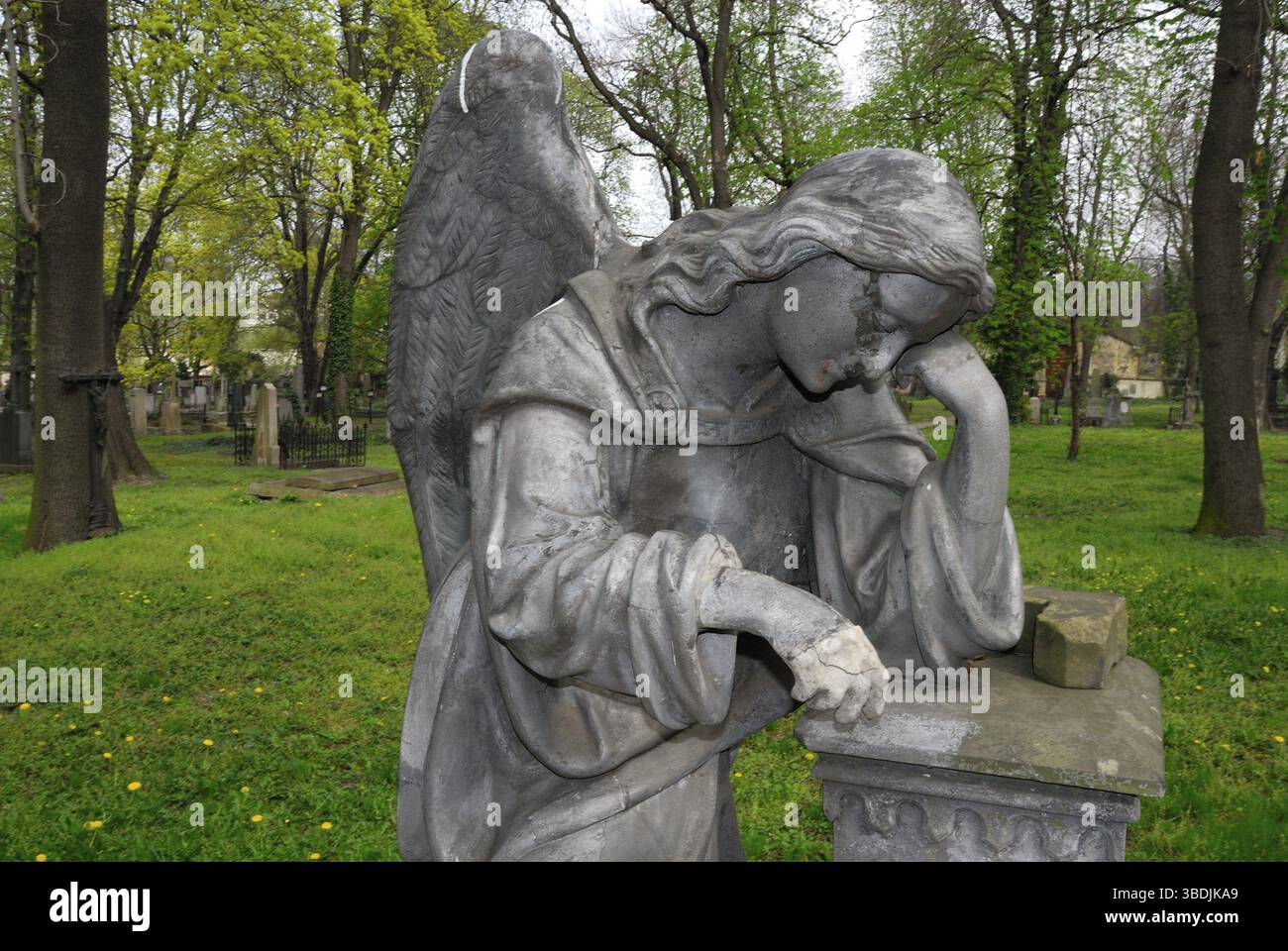 Angel at the Olsany Cemetery in Prague Stock Photo - Alamy