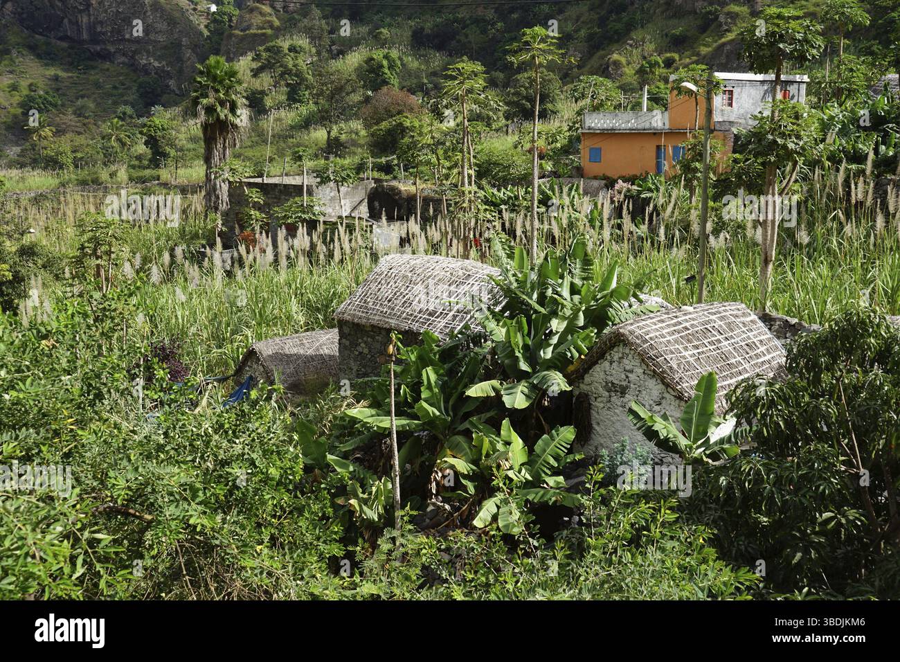Traditional farmhouses, stone house with thatched roof, surrounded by ...