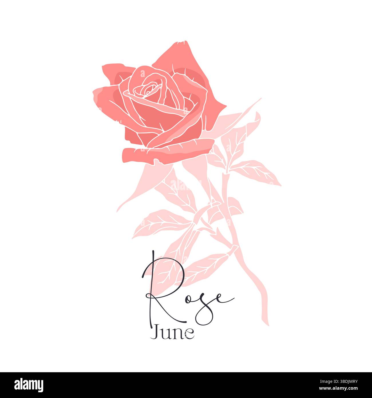 June rose garden Stock Vector Images - Alamy