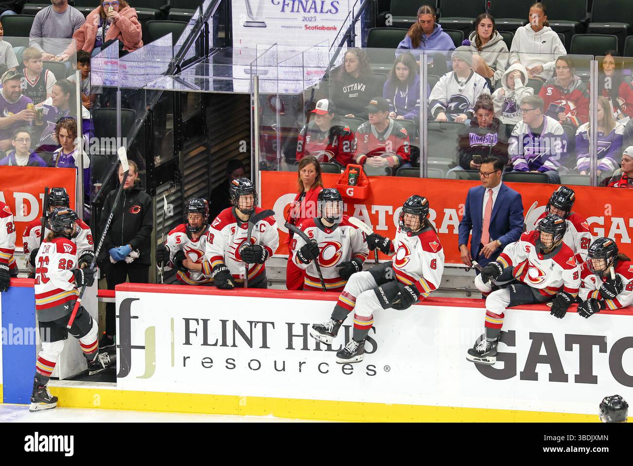 May 24th, 2025: Ottawa Charge head coach Carla MacLeod looks on from the Ottawa Charge bench ...