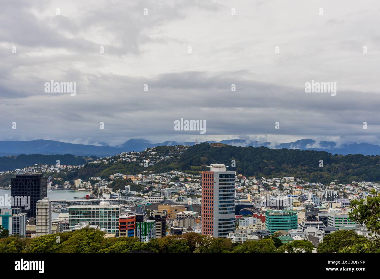 Cityscape of Wellington capital city of New Zealand. Aerial View from ...