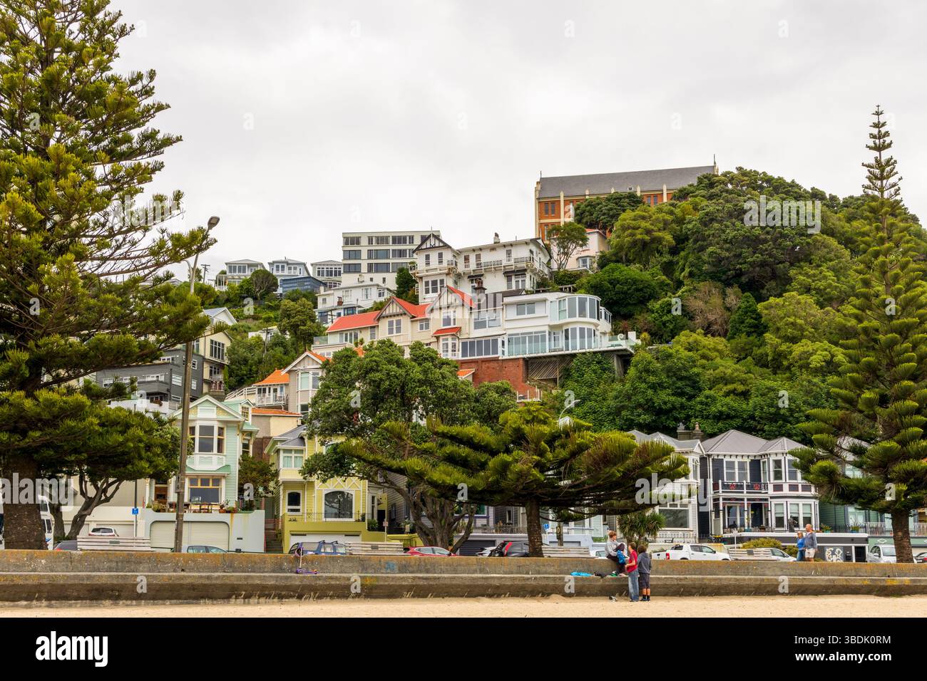 Cityscape of Wellington capital city of New Zealand Stock Photo - Alamy
