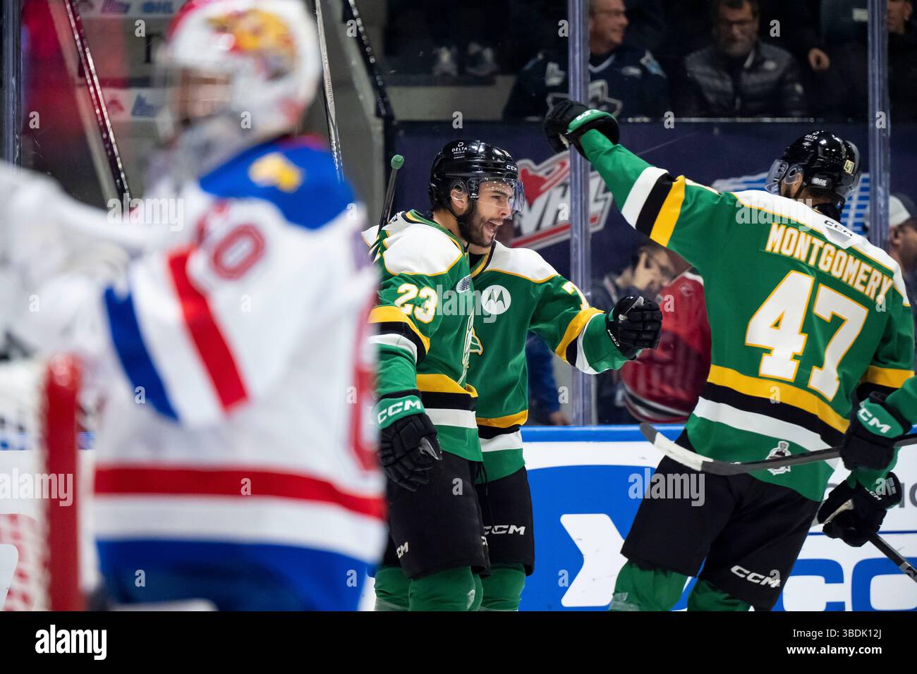 London Knights' Sam O'Reilly (23) celebrates with teammates after ...