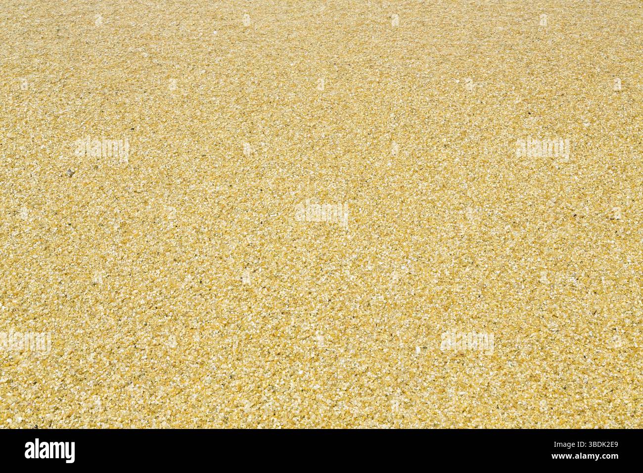 View wet sandy beach hi-res stock photography and images - Alamy