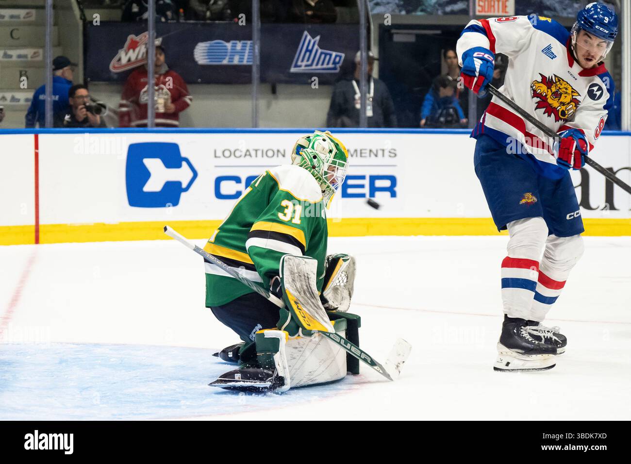 Moncton Wildcats' Dyllan Gill (not shown) scores against London Knights ...