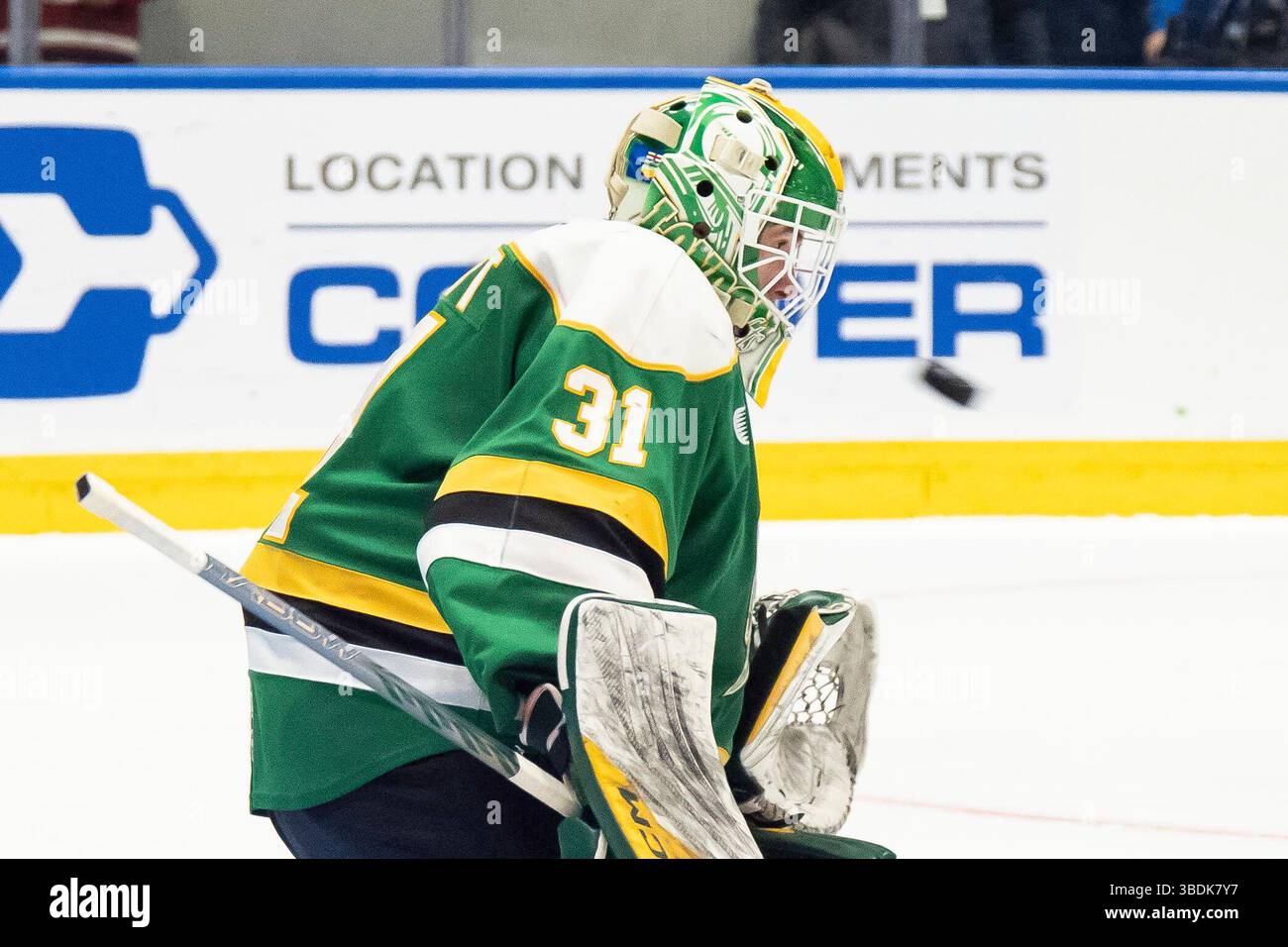Rimouski, Canada. 24th May, 2025. Moncton Wildcats' Dyllan Gill, not ...