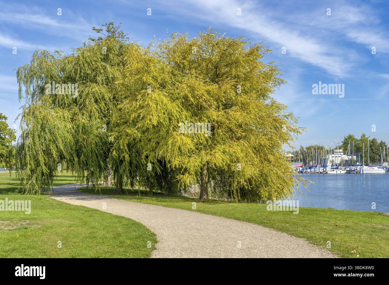 Riverside path with pastures on Lake Schwerin Stock Photo - Alamy