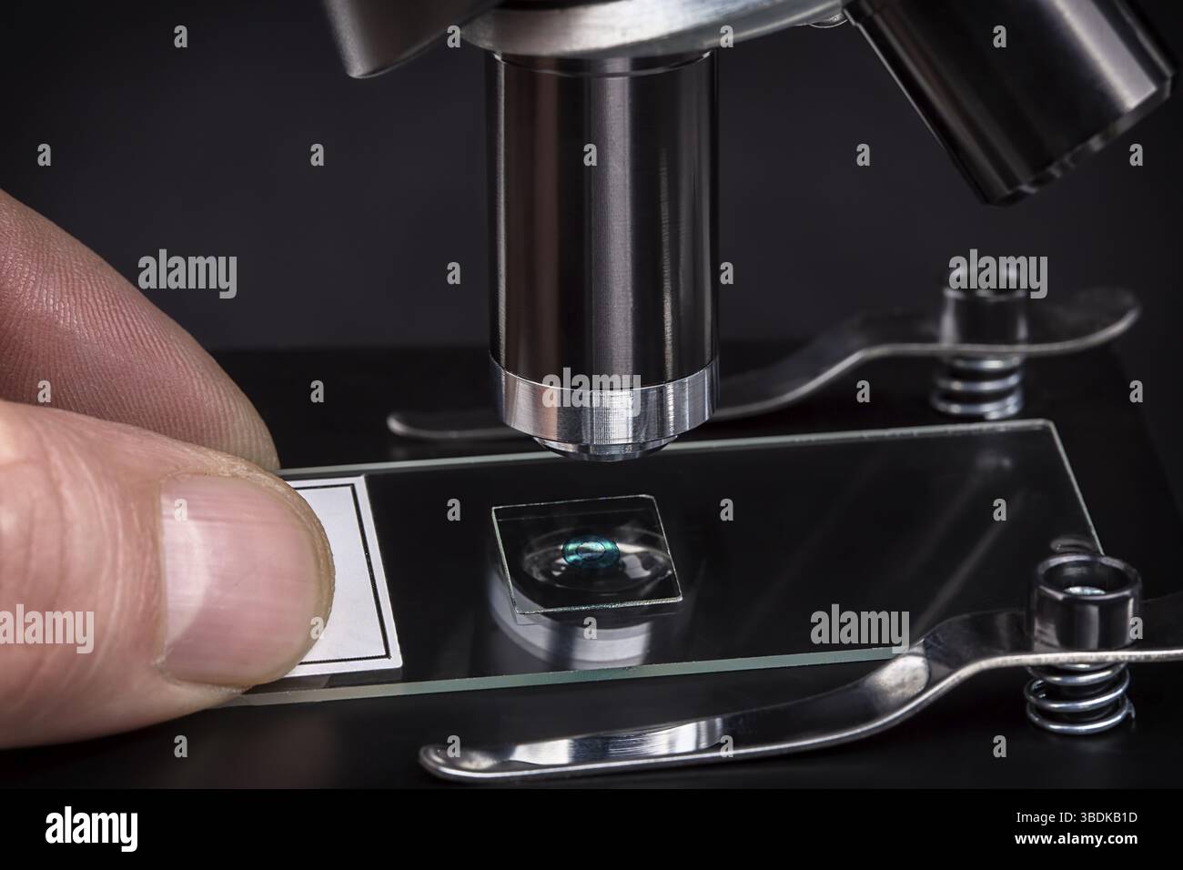 Fingers holding an object slide under a microscope lens Stock Photo - Alamy