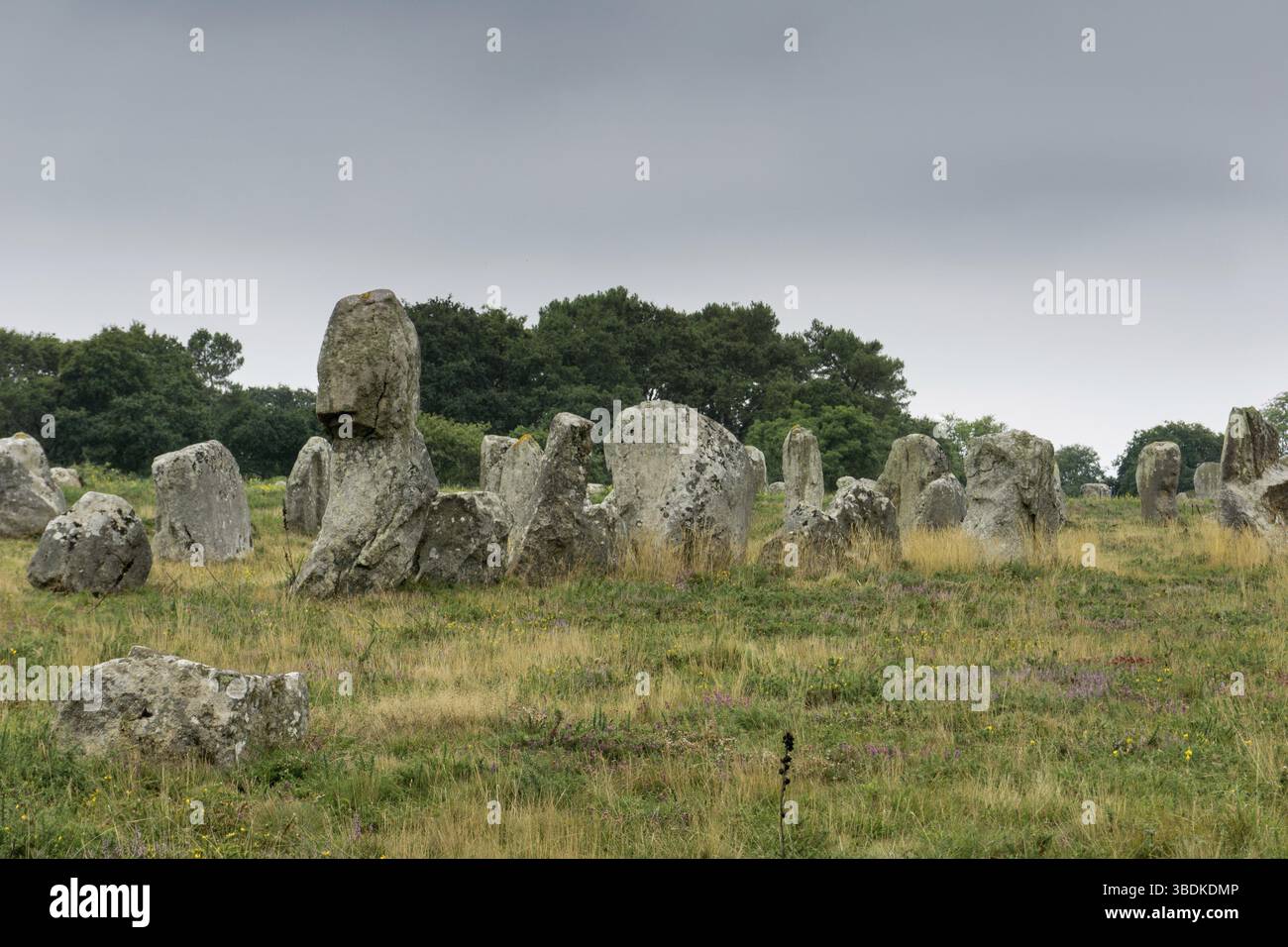 view of prehistoric monolith stone alignments in Brittany at Carnac ...