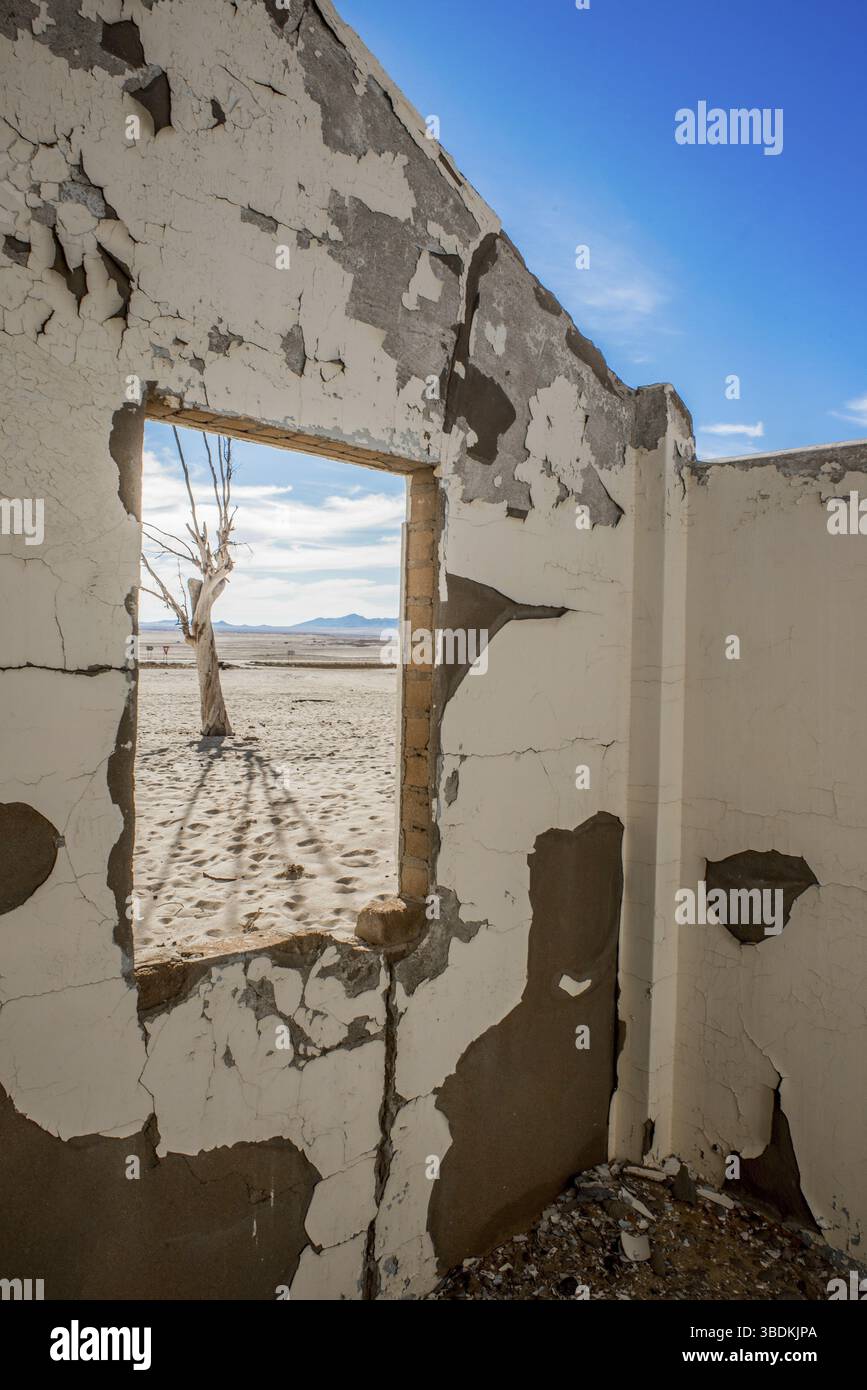 View of a dead tree from the window of a derelict house with no roof in ...
