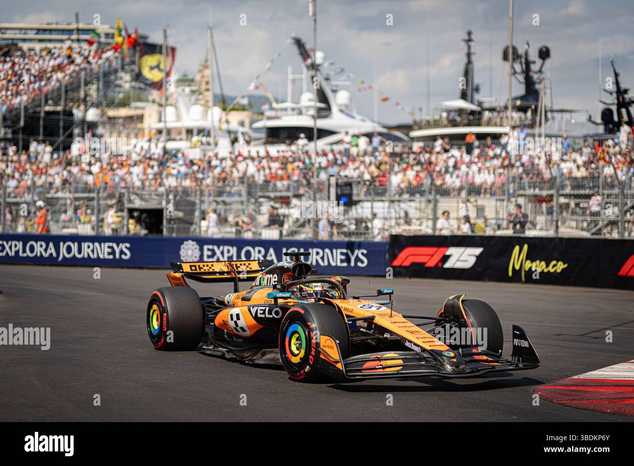 81, Oscar Piastri, AUS, McLaren MCL39, McLAREN F1 TEAM Stock Photo - Alamy