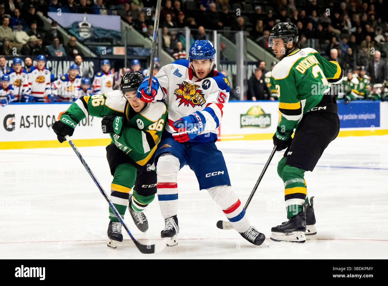 Moncton Wildcats' Etienne Morin (5) is checked by London Knights ...