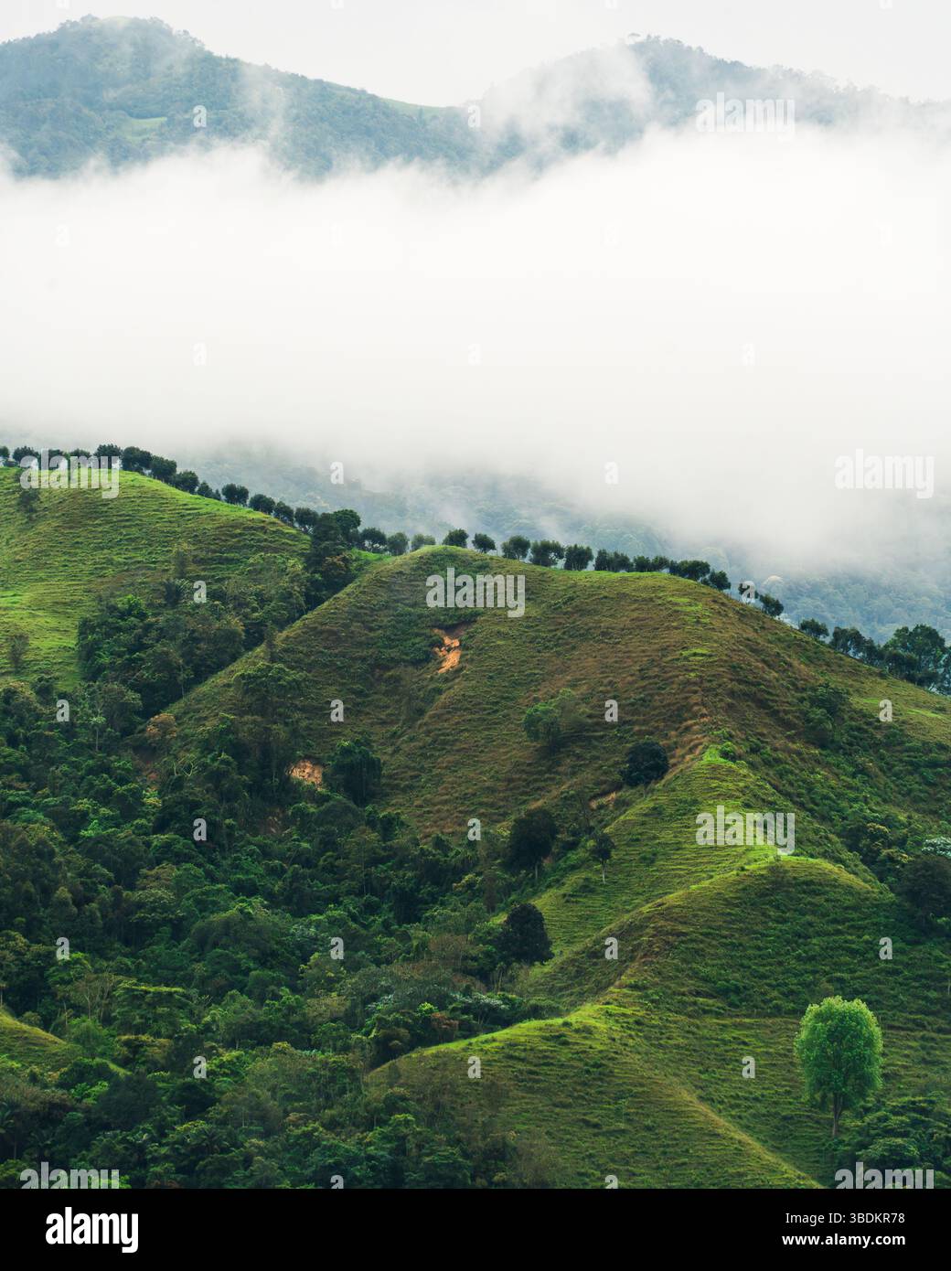 Colombian natural parks hi-res stock photography and images - Alamy