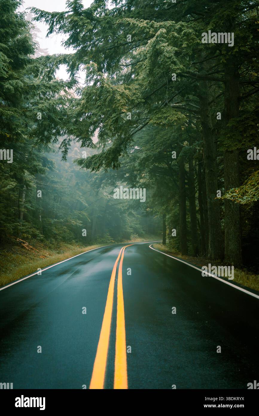 Gem road hi-res stock photography and images - Alamy