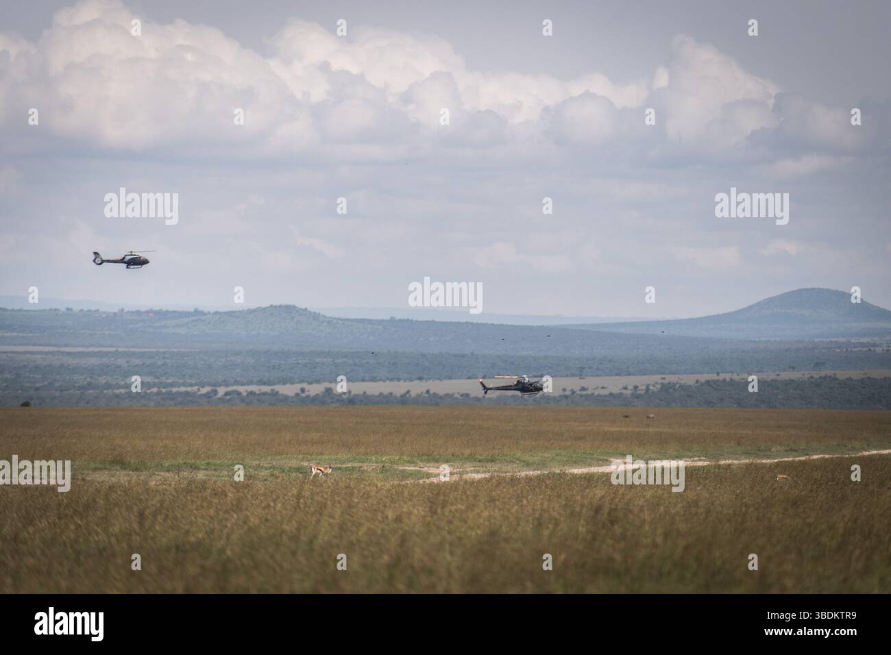 Laikipia, Kenya. 24th May, 2025. Members of the Kenya Wildlife Service ...