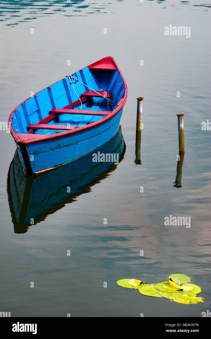 Nepal: wooden boat and floating leaves on Phewa Lake (Phewa Tal ...