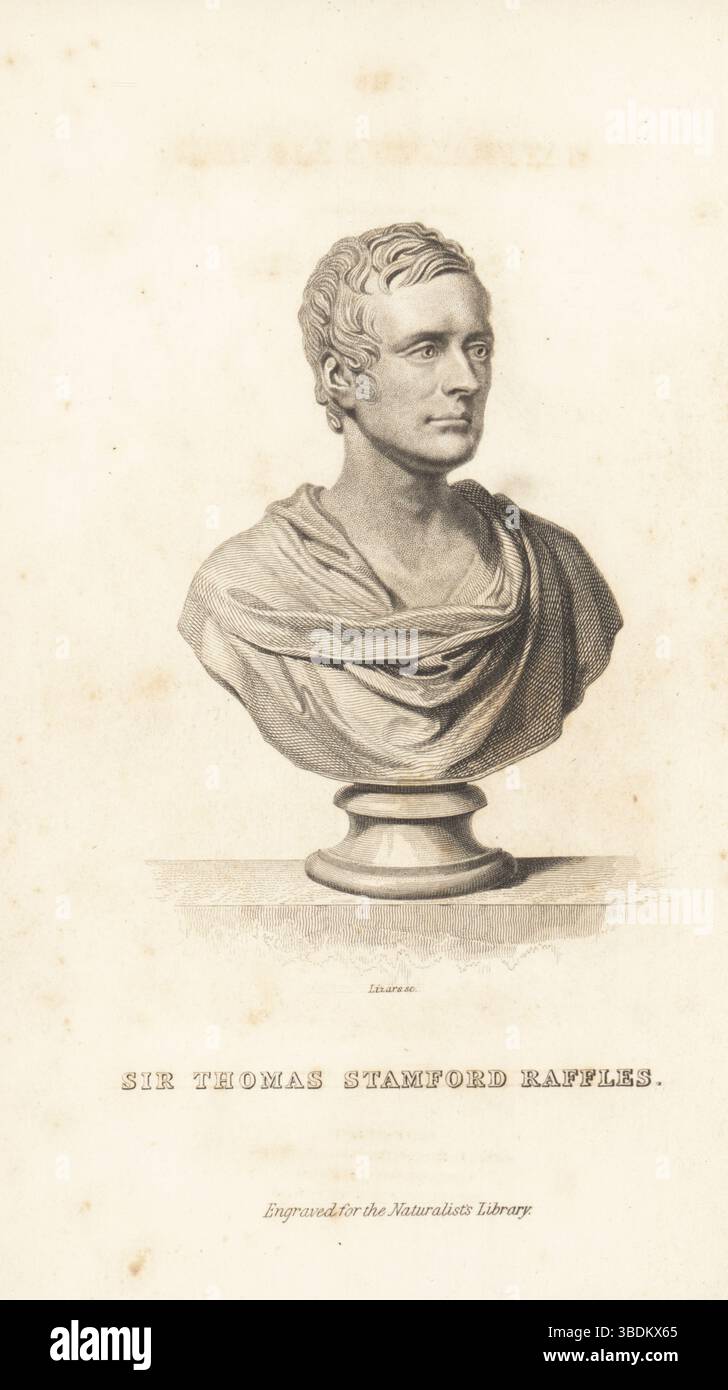 Bust of Sir Thomas Stamford Raffles in classical garb. Raffles, 1781-1826, British colonial ...